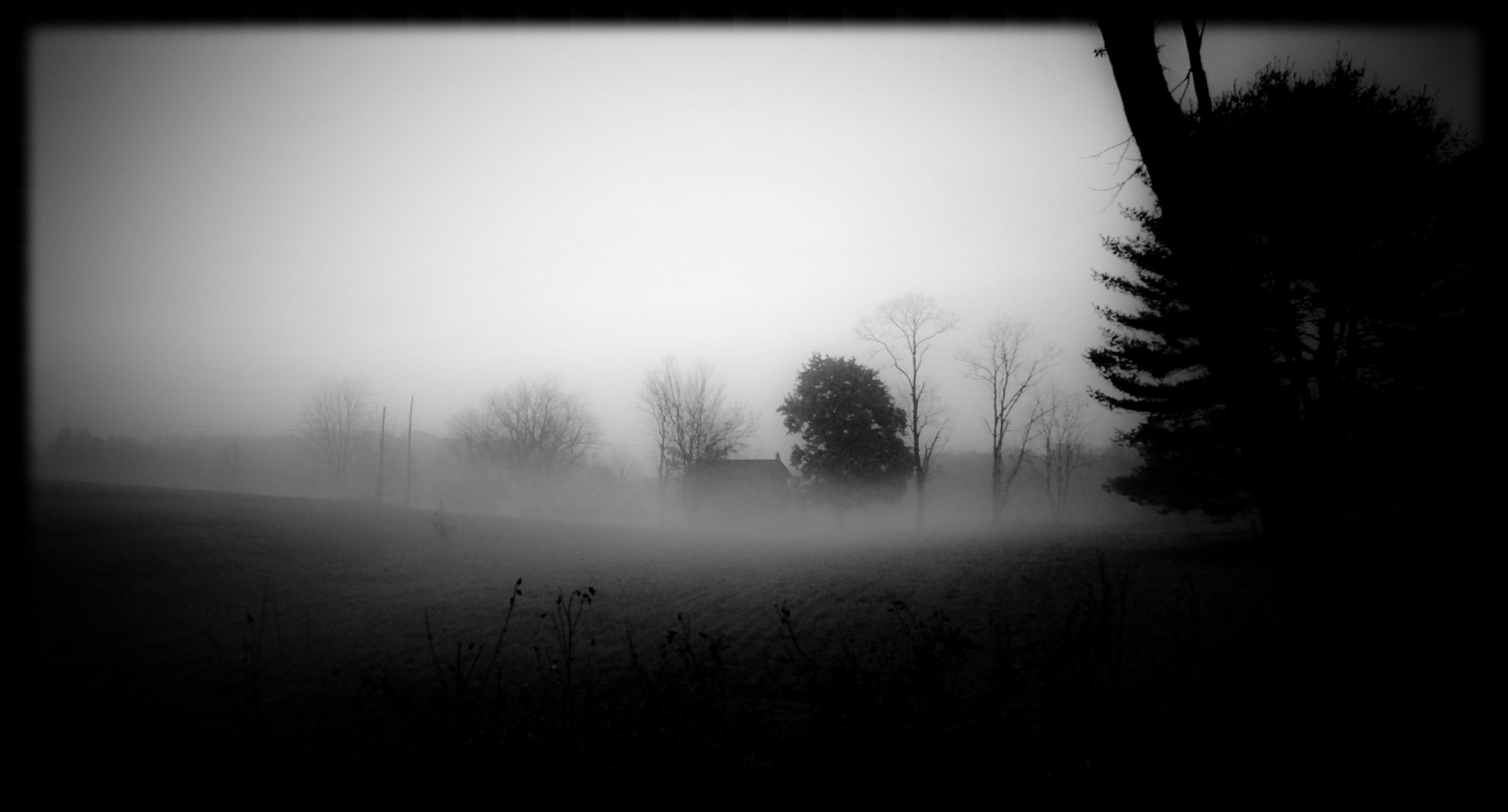 I Like to be here when I Can - Existing as a Fact